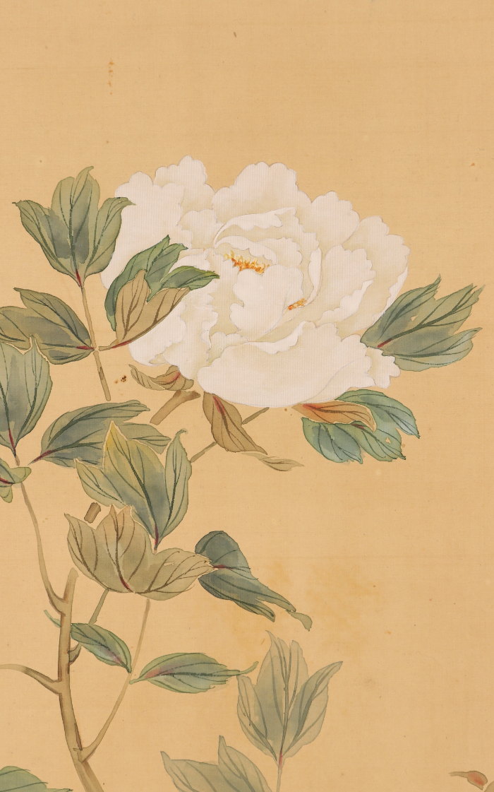 【模写】【伝来】az3265〈藤本翠香〉牡丹に猫図 女流画家 栃木の人の落札情報詳細 - Yahoo!オークション落札価格検索 オークフリー